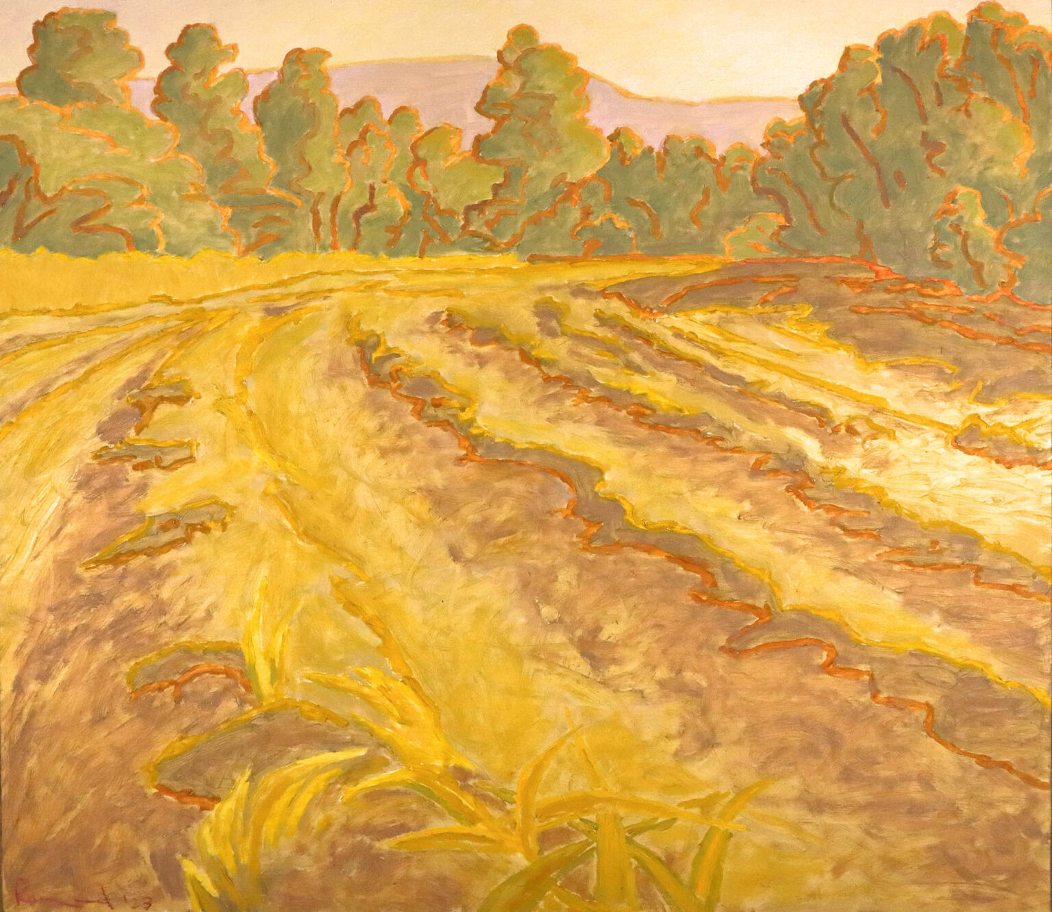 Field - Peter Raymond