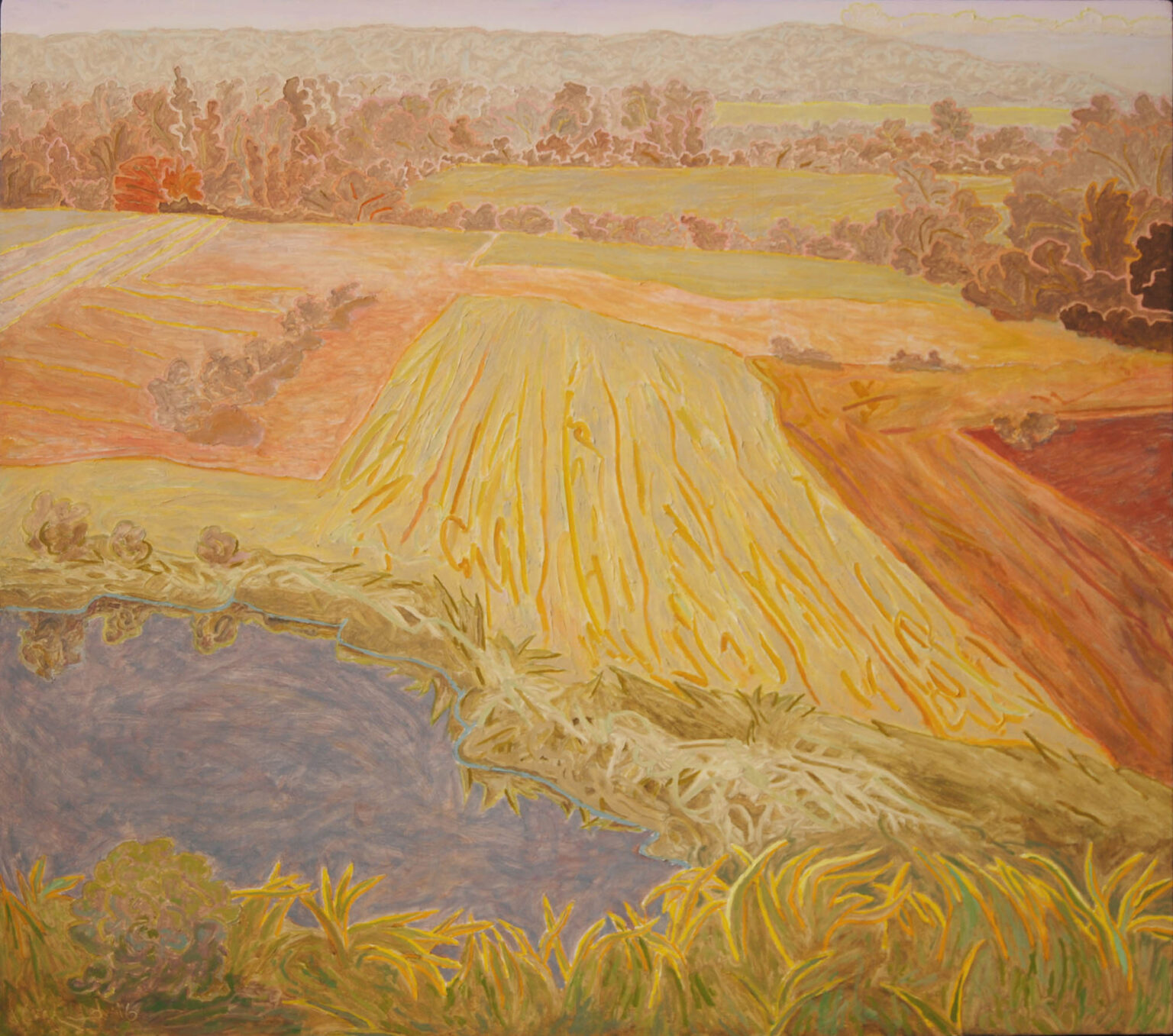 Field & Pond - Peter Raymond