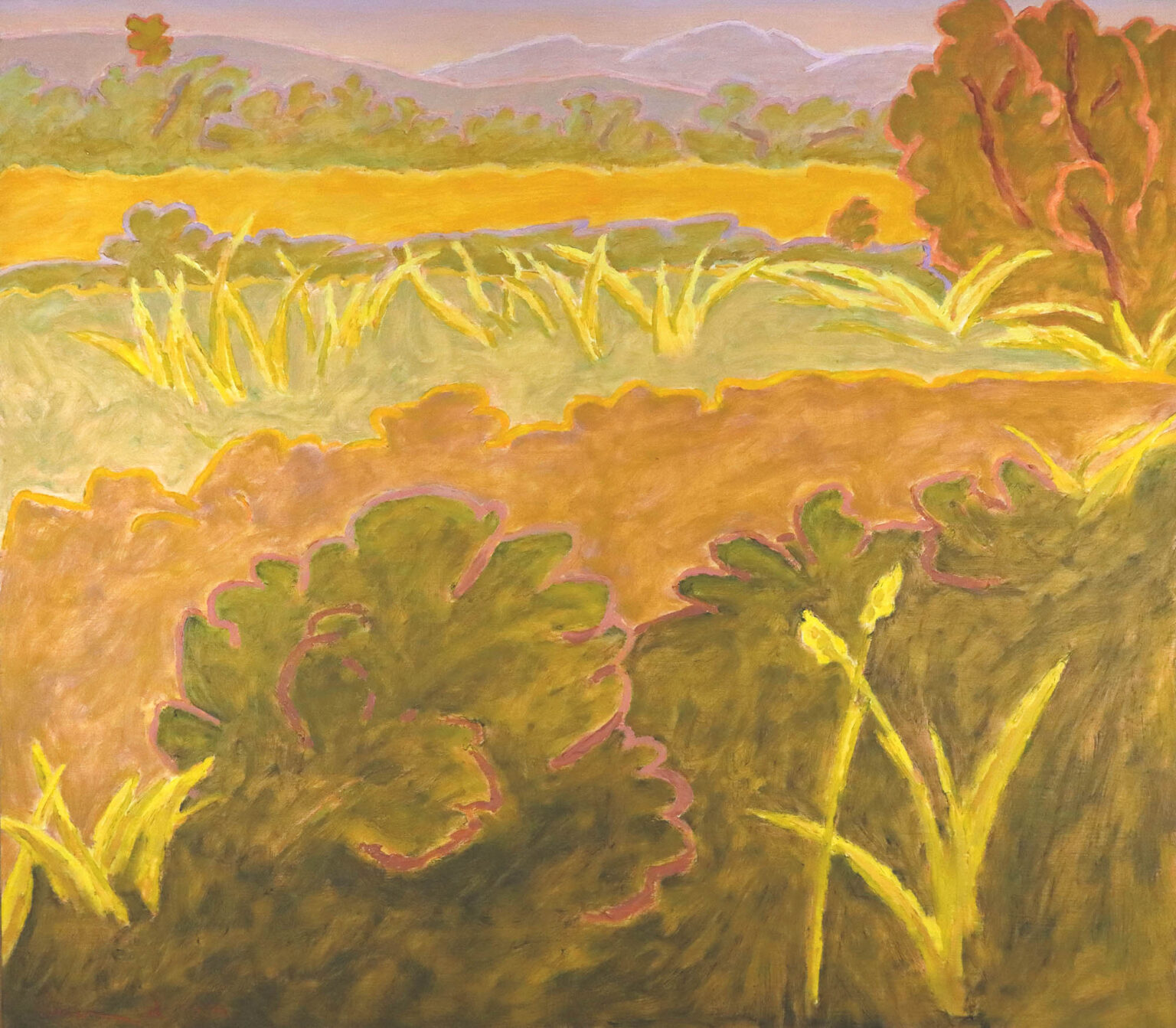 Wetland - Peter Raymond